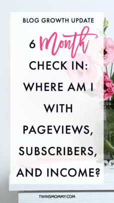 Month 6 Blog Growth Update: Checking In (Pageviews, Subscribers, and ...