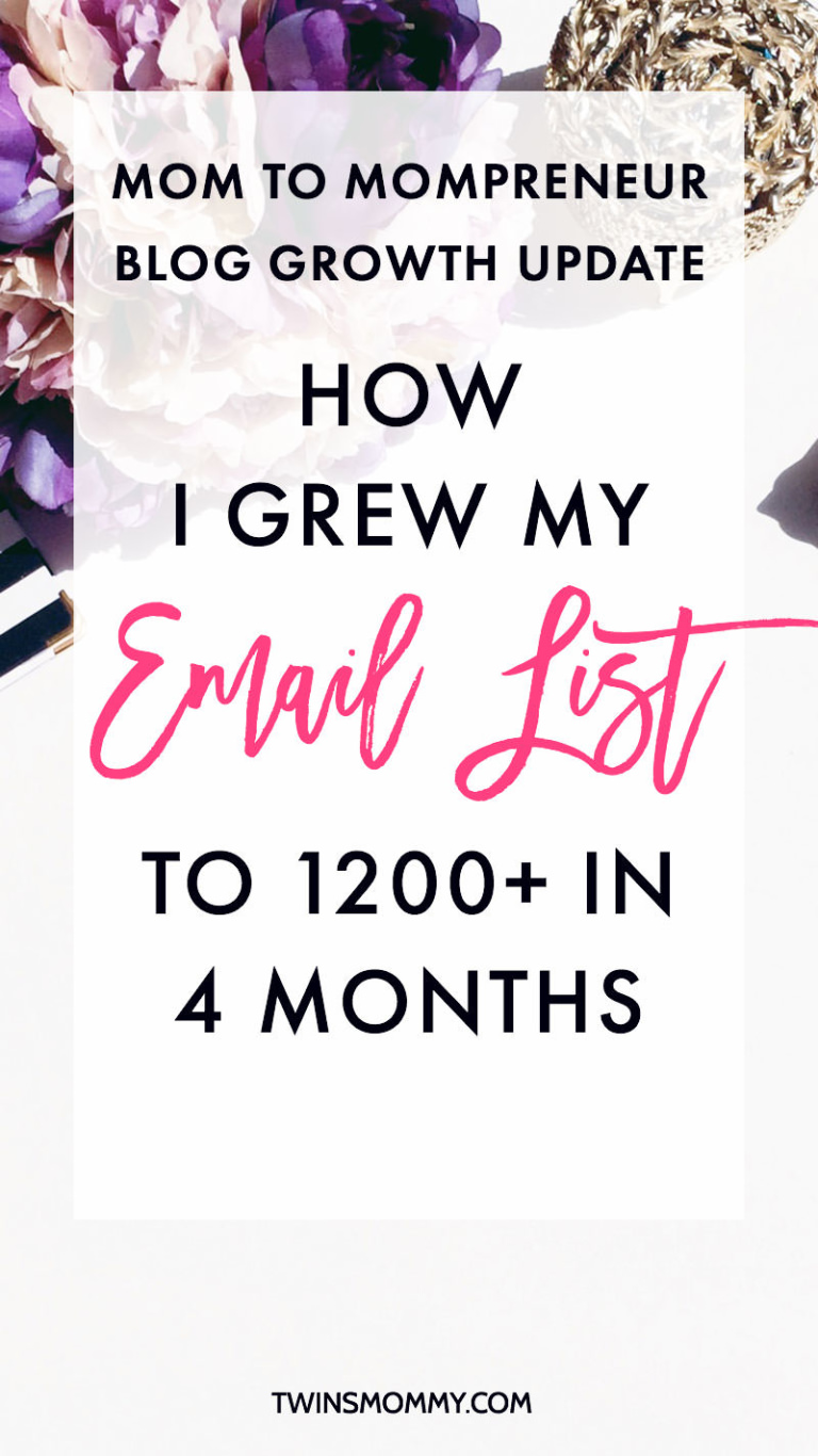 Month 5 Blog Growth Update From 0 To 1200 Email Subscribers Twins Mommy