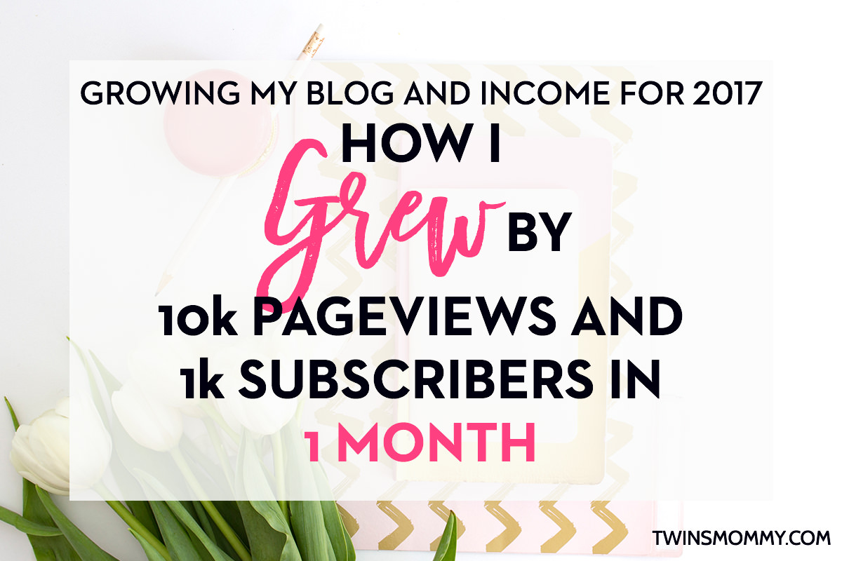 Growing My Blog and Income for 2017: How I Grew By 10k Pageviews in 1 ...