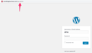 How to Use WordPress for the First Time As a Blogger - Twins Mommy