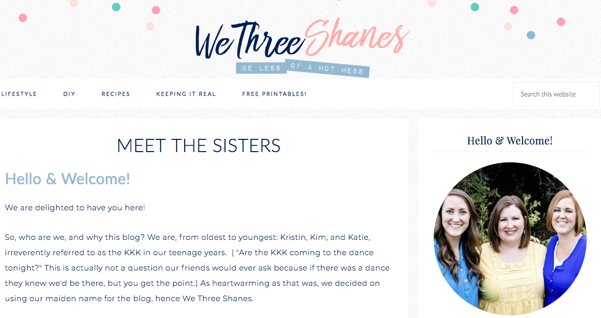 21 Super Simple Website Ideas for Bloggers - Twins Mommy