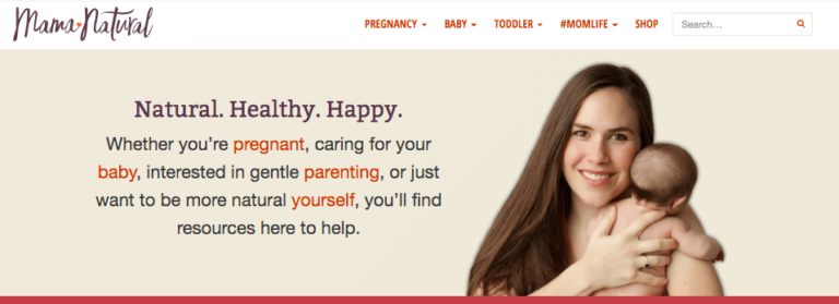 42 Best Mommy Blogs that Are Successful (in 2023) - Twins Mommy