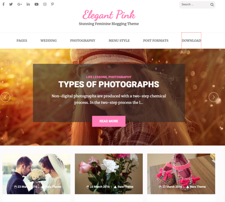 Free Beautiful WordPress Themes for Mommy Bloggers - Twins Mommy