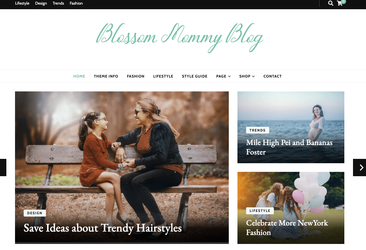 Free Beautiful WordPress Themes for Mommy Bloggers - Twins Mommy