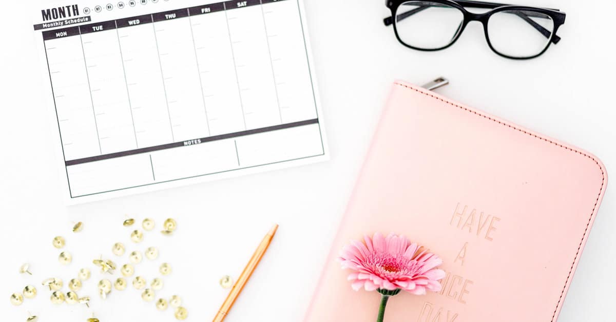 A 6 Figure Blogging Schedule: Daily and Weekly Plan to Make Money ...