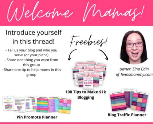 Clever Facebook Group Ideas (High Performing) - Twins Mommy