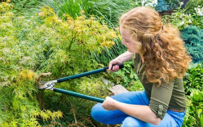 23 Jobs for 15 Year Olds (No Experience Needed for These Jobs Hiring ...