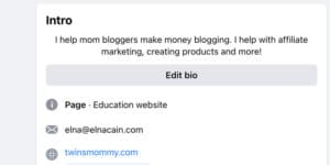 90+ Cute Bios for Bloggers + Social Media - Twins Mommy