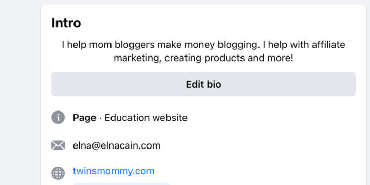 90+ Cute Bios for Bloggers + Social Media - Twins Mommy