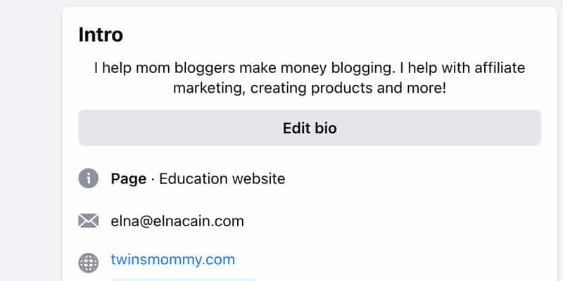 90+ Cute Bios for Bloggers + Social Media - Twins Mommy