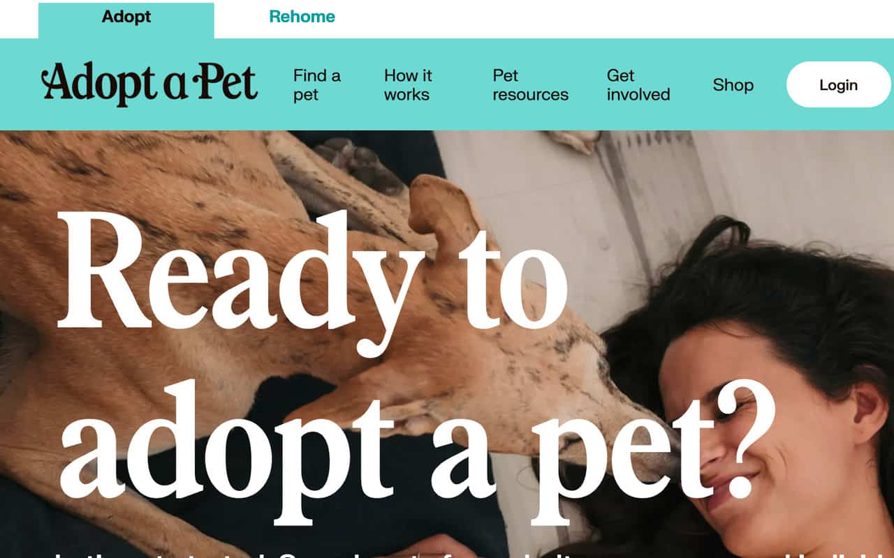 How to Start Pet Blogging - Twins Mommy