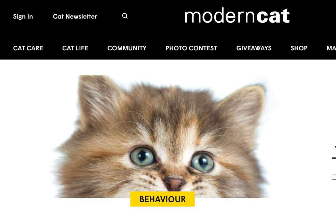 How to Start Pet Blogging - Twins Mommy