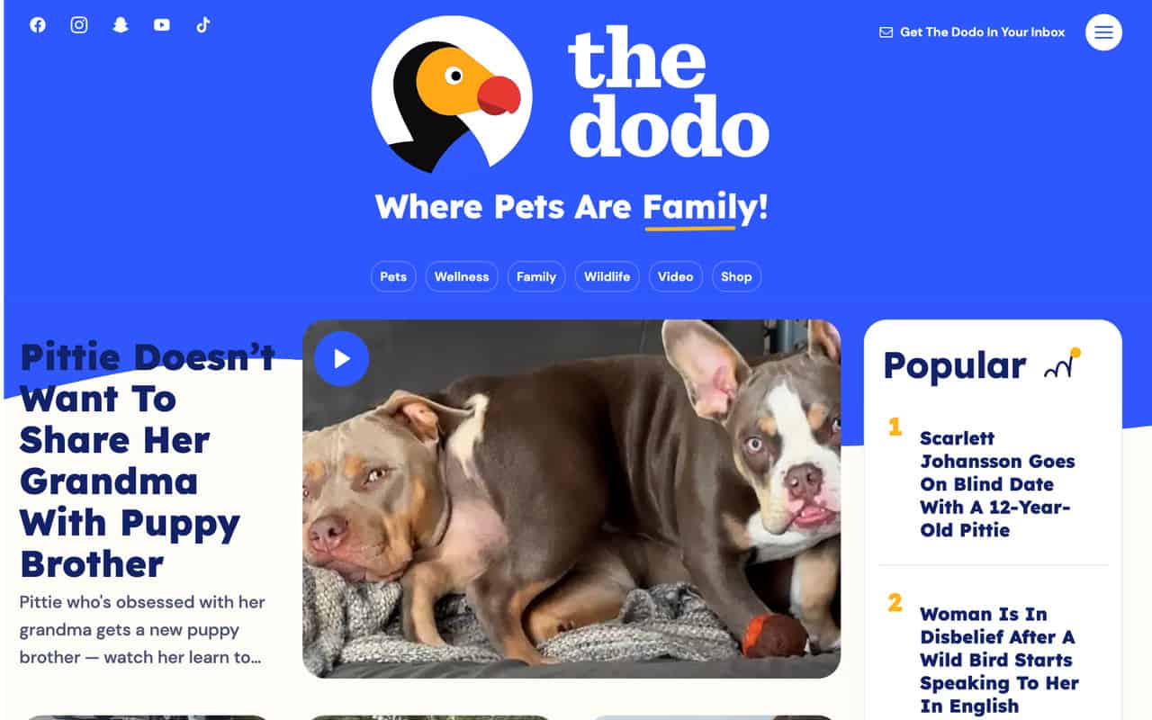 How to Start Pet Blogging - Twins Mommy